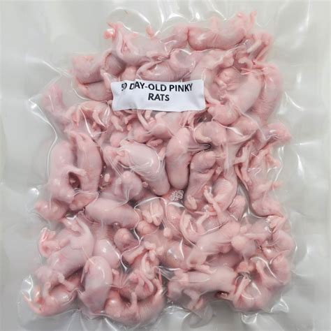 Frozen Pinky Rats Rodent King Canada