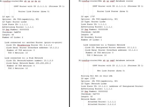 A Deep Dive In OSPF LSAs Part OzNetNerd Com