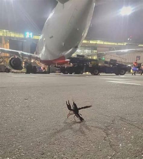 Ive Seen Too Much — Logging Off Now 29 Pics