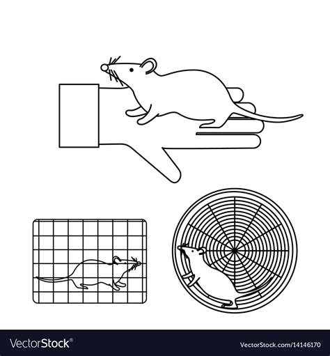 Mouse In Lab Experiments Royalty Free Vector Image