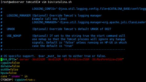 Linux下tomcat指定jdk和设置内存大小 試毅 思伟