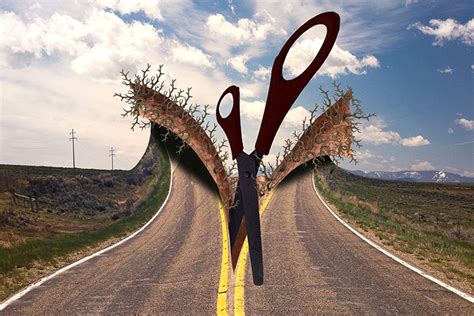 Автодеструктивно однесување