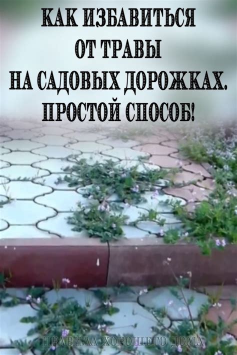 Как избавиться от травы на садовых дорожках. Простой способ! | Идеи по ...