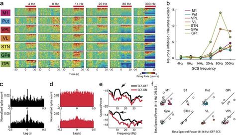 Spinal Cord Stimulation Alters The Firing Rate And Oscillatory Patterns Download Scientific