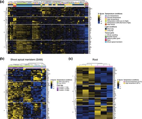 Conserved And Tissue‐specific Transcriptional Patterns Of Flowering