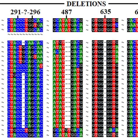 Aligned Sequences Of Tp53 And Rtgs Of The African Elephant The Florida