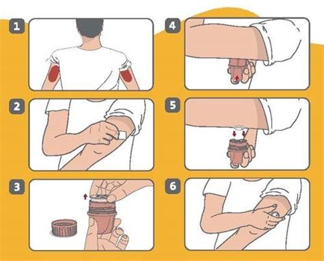 Getting Started Diaexpert