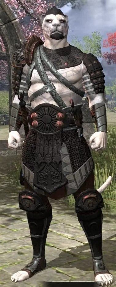 Can Someone Tell Me Which Styles Used Here R Elderscrollsonline