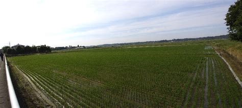 田んぼand空 ソーラさんとアスカさんののん気な一日 ほーむぺーじ日和
