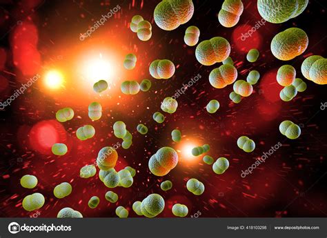 Microscope Close Meningitis Bacteria Also Known Meningococcus