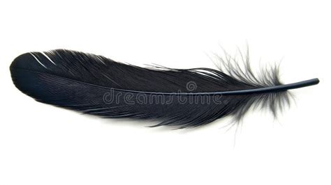 Feather Quill Texture Stock Illustrations 7 887 Feather Quill Texture