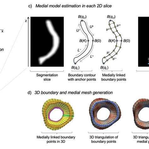 Generation Of A 3D Medial Mesh From An Image Segmentation Of The Aortic