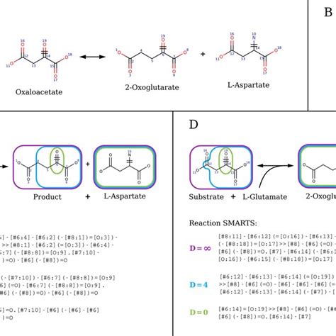 Retrosynthesis Networks Generation Tools Download Table