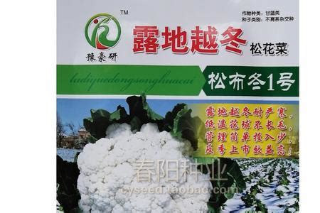 松花粉产地哪里正宗