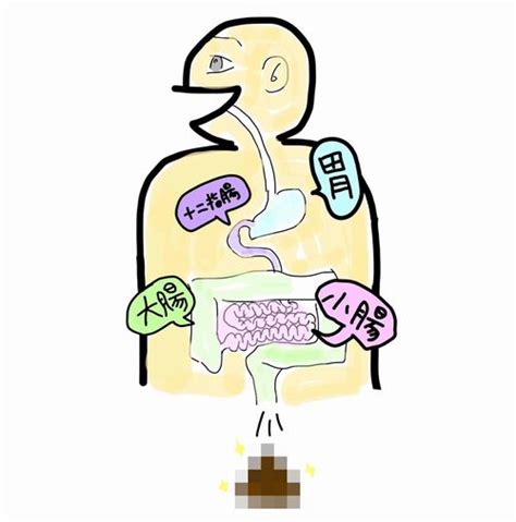 「意外と知らない消化の話」～食べたモノって体の中でどうなっていくんだ？～ Kotoの理科的つぶやき