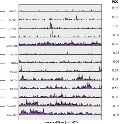 Fitness Profiles In Cancer Cell Lines N 1032 For β‐catenin And Its