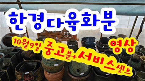 2023년 10 월 9일 267회차영상 한경다육화분 수제공방분 예쁜화분 중고화분 Youtube