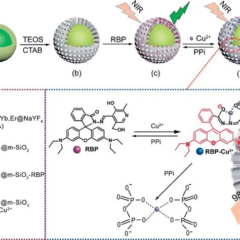 A Selectivity For Ppi Detection In The Ethanol Water Solution The Download Scientific