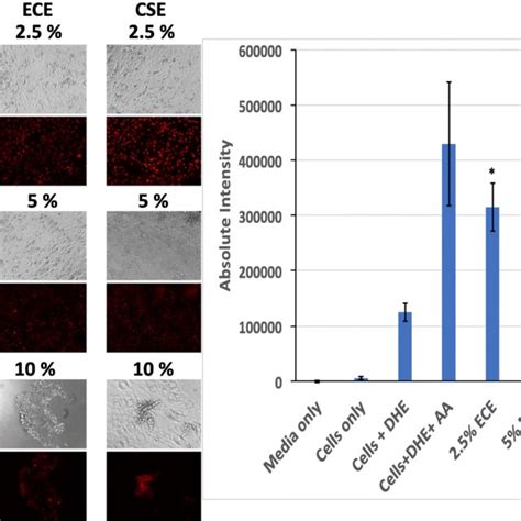 Oxidative Stress And Reactive Oxygen Species ROS Produced By ECE And Download Scientific