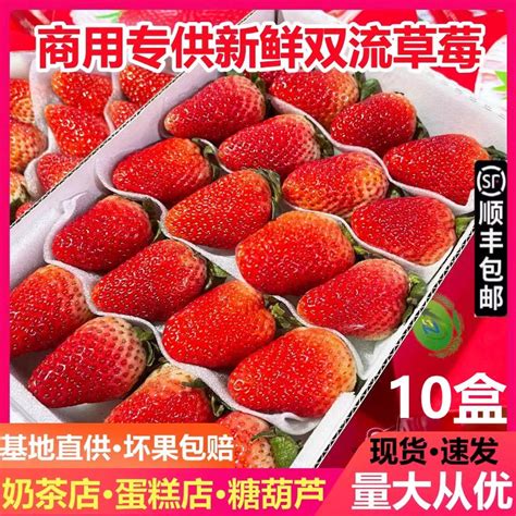 香信云南野生香蕈新鲜丑香菇非人工香菇食用菌菇顺丰空运包邮 虎窝淘