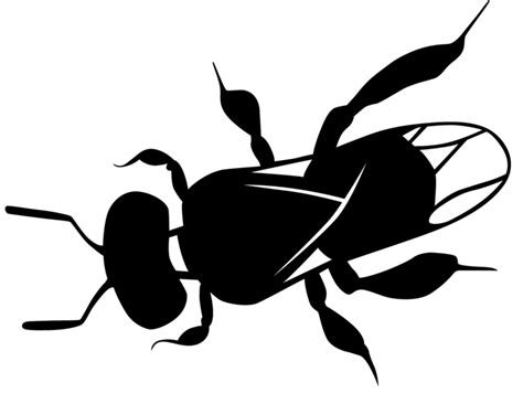 Bee Yourself