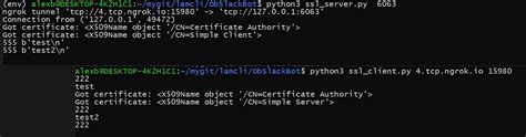 Secure Python Socket With Ngrok Alex Buzunov Medium