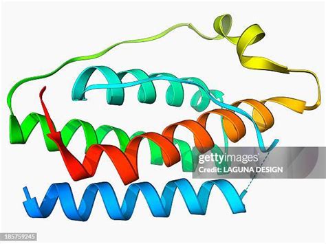 644 Metabolism Illustration High Res Illustrations Getty Images