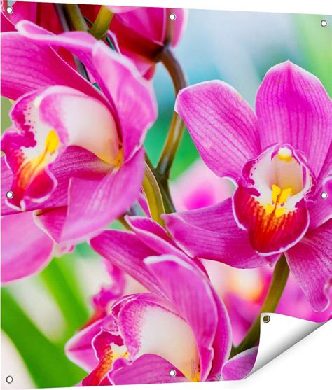 Gards Tuinposter Licht Paarse Orchidee Bloemen 90x90 Cm Tuindoek