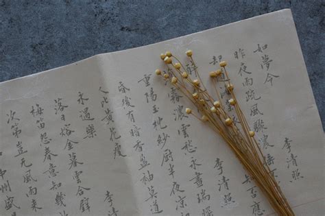 Nlp入门干货：手把手教你3种中文规则分词方法 知乎