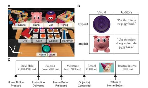 Utilizing High Density Electroencephalography And Motion Capture Technology To Characterize