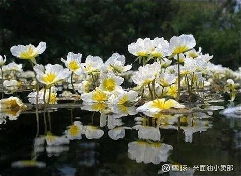 《大数原则——概率游戏》 （1）为什么选择炒股选择炒股的原因很多，但是大部分人选择炒股，是因为人到了中年，各种危机来袭，认识到了世界运行的一些