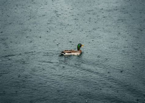 Jandelavatarwallpaperpc Photos Download The Best Free Jandelavatar