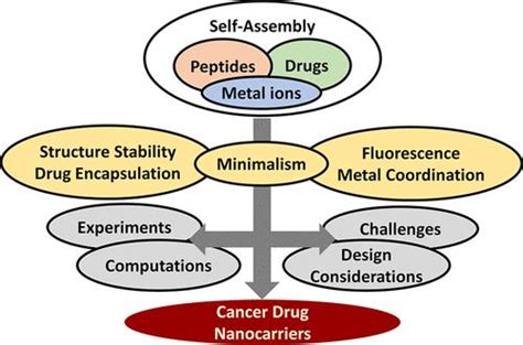用于癌症药物输送的肽自组装纳米载体the Journal Of Physical Chemistry B X Mol