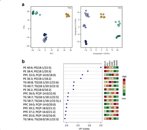 Baseline Lipidomic Profiles In Selected Cancer Cell Lines A