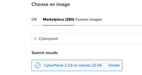 Install Wordpress On Cyberpanel With Openlitespeed And Ssl On Digitalocean Bouncegeek