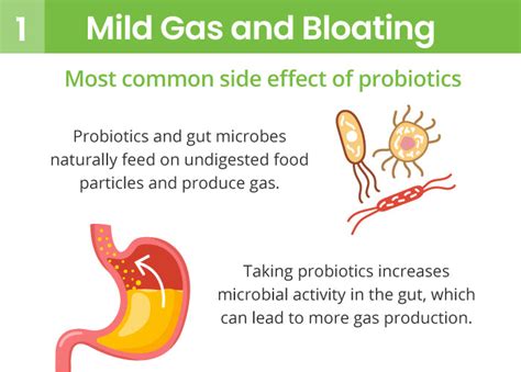 5 Probiotic Side Effects How To Avoid Constipation Headaches Gas