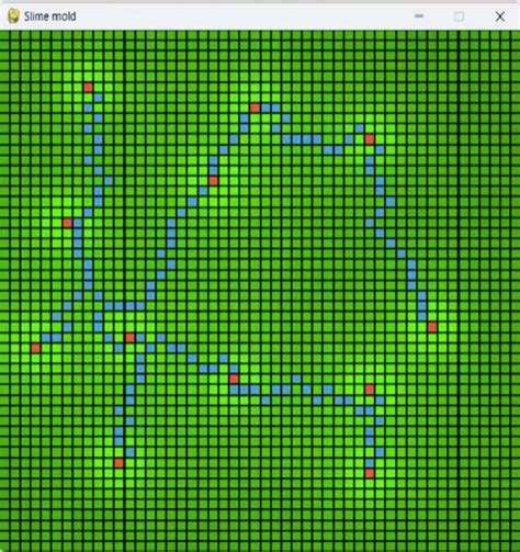 github christian74d slime slime mold inspired pathfinder