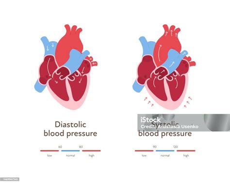 혈압 인포 그래픽 벡터 평면 그림입니다 건강 관리 고혈압 차트 혈류가있는 심장 장기 해부학 낮은 정상 높은 수준의 압력 영역 의료 심장학을 위한 설계 다이어그램에 대한 스톡