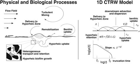 Conceptual Diagram Of Modeled Processes And Continuous Time Random Walk Download Scientific