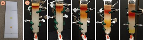 Thin Layer Chromatography A Complete Guide To Tlc