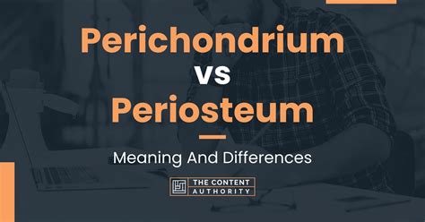 Periosteum In A Sentence