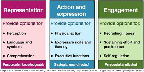 Pin By Haixia He On Principles And Guidelines For Udl Self Regulation