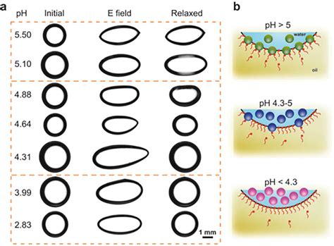 Structuring And Re Structuring Liquids Through Ph Controlled Jamming Download Scientific