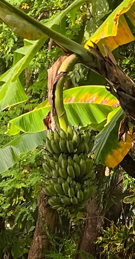 Having An Abnb Experience Is Priceless Welcoming One Of Our Favorite