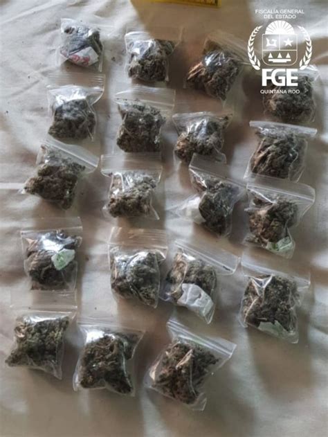 Drogas Y Felinos En Peligro De Extinción Esto Aseguró La Fge Tras