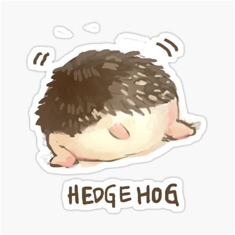 Hedgehog Butt Sticker For Sale By Derlaine Redbubble