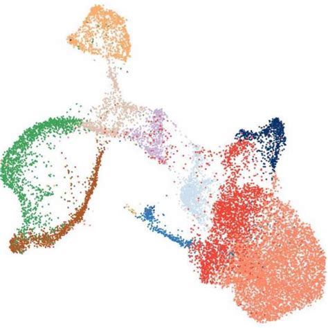 Single Cell Transcriptomics Zenit Science