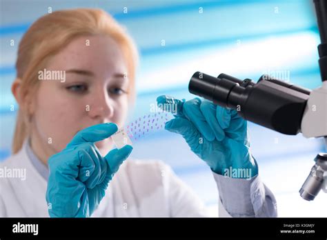 Doctor Woman Working A Microscope Female Scientist Looking Through A
