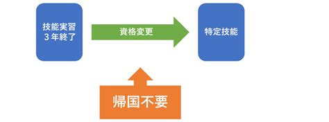 技能実習から特定技能への変更帰国の必要性や在留資格変更まで 現地に帰らず特定技能に切り替えることも可能