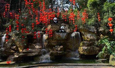 Chengdu Research Base Of Giant Panda Breeding